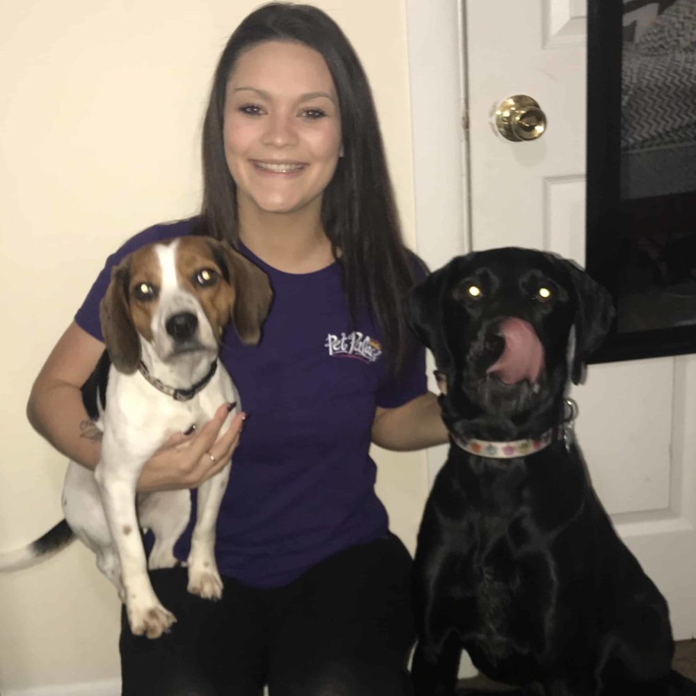 Pet Boarding Indianapolis | Dog Daycare | Pet Grooming | Pet Palace Pet Boarding Indianapolis | Dog Daycare | Pet Grooming | Pet Palace