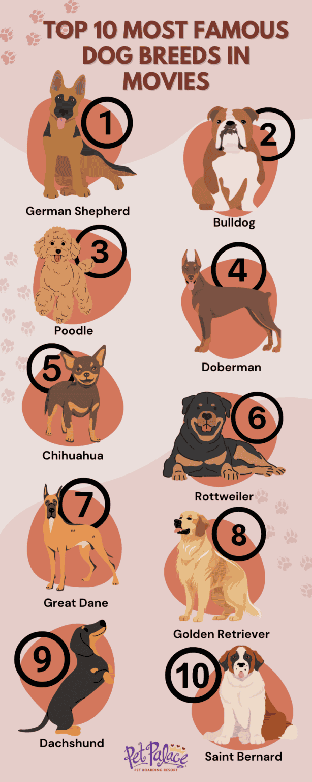 Dog Breeds in Movies | Most Famous Dog Breeds in Movies | Pet Palace